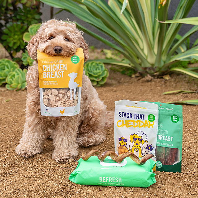 Pamper Your Pet with Amenities at THEA - THEA at Metropolis