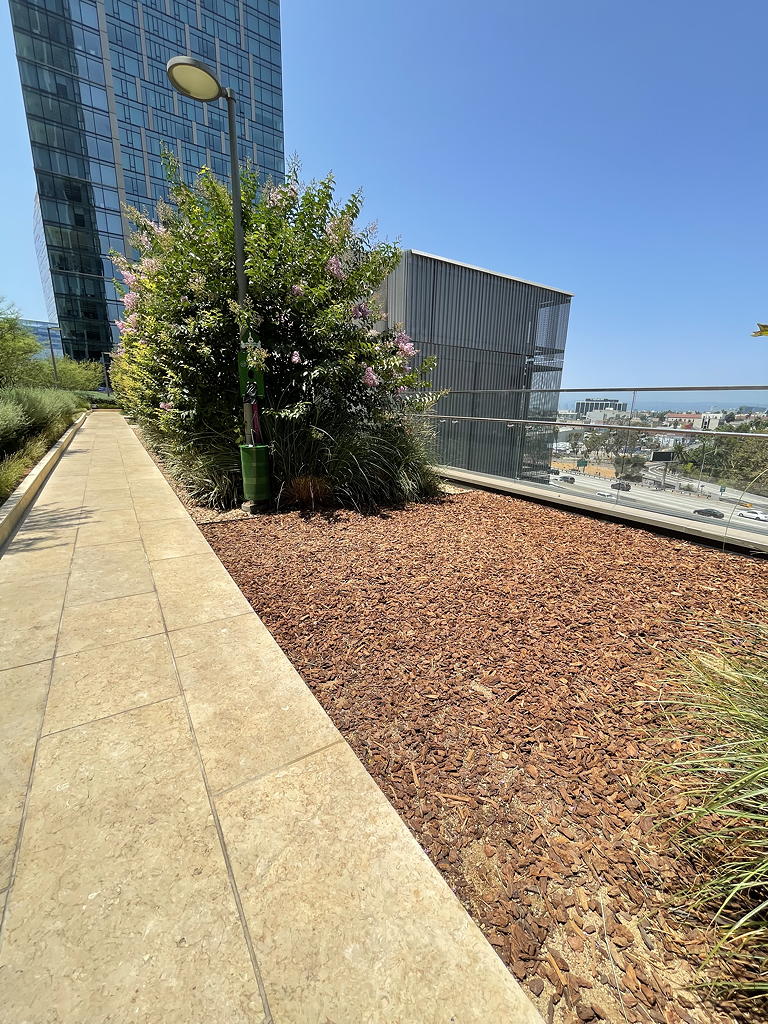 Pamper Your Pet with Amenities at THEA - THEA at Metropolis